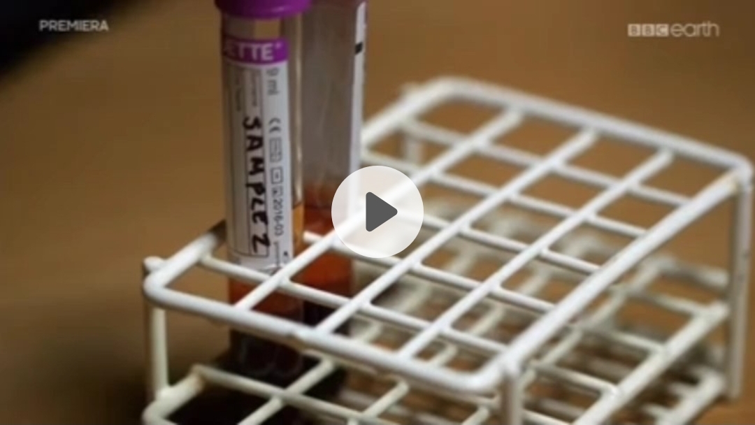 Удивительный Мир Крови. Фильм BBC. Табу 🚫 от Бога на действия с кровью. Библия, Левит (17:14) ⚠️❌🙏