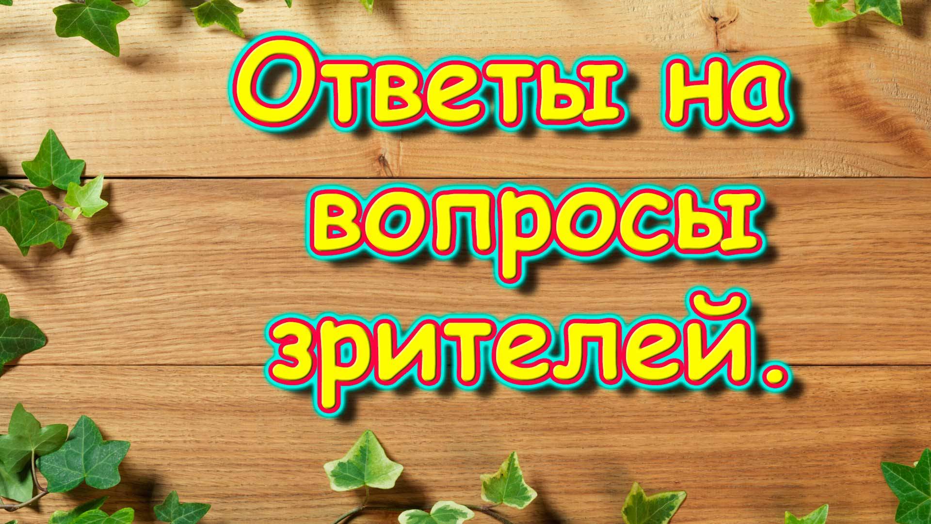 Ответы на вопросы зрителей. (11.25г.) Семья Бровченко.