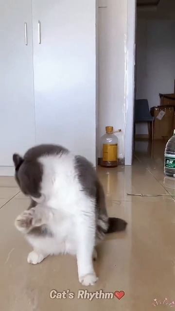 Невероятные Танцы 💃