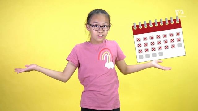 Творение учит нас | Пингвины