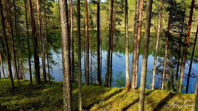 Озеро Лесного Короля. Часть 6 Люди и нелюди. Глава 1 Люди. - смотреть ...