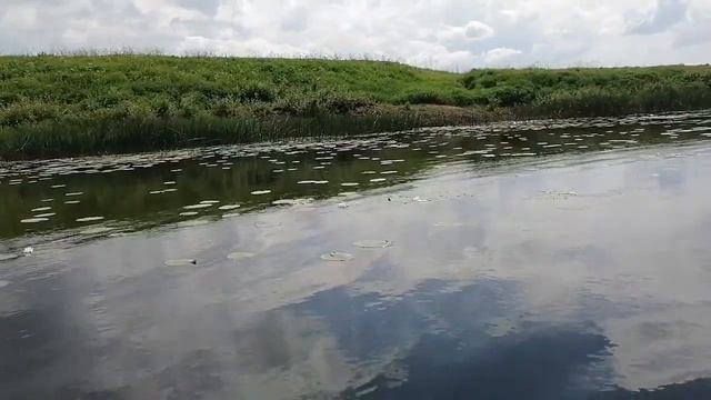 Ближе к осени.. Муз. и исполнение_Олег Сапегин,сл.Татьяна Зуева,Олег Сапегин