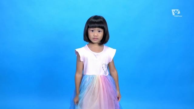 Творение учит нас | Зимородок