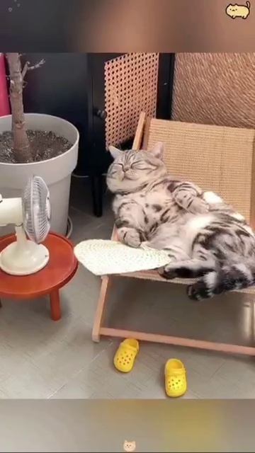 Самое время выбрать правильную позу для сна