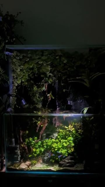 Волшебно 🥰