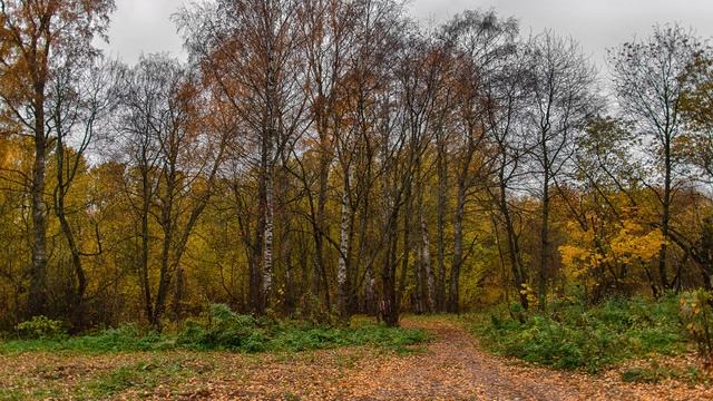 Спокойная музыка для души. Успокаивающая музыка | Ecveezer - You're My Inspiration (New Version)