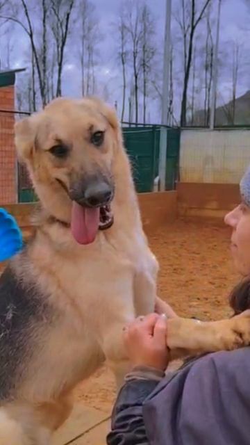 "Что за милый зайчик?" ❥ Приют в Малинках