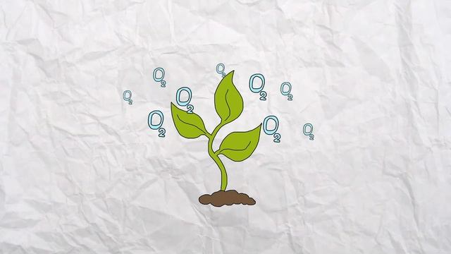 Библейская история про сотворение мира. Кубик Рубрик (3+)