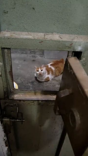 За что сидит