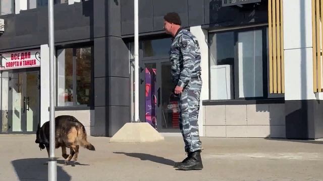 Полицейские Кабардино-Балкарии провели профориентационную акцию со студентами и кадетами