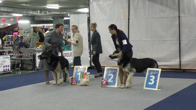 Расстановка класса чемпионов
