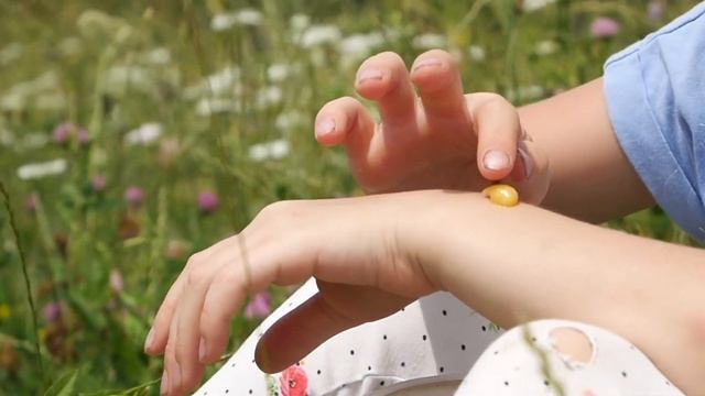 5 вещей для похода. Чудеса каждый день. 7 серия (6+)