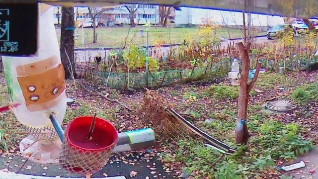 В генеральную прокуратуру РФ Нарушения ПДД и САНПИН