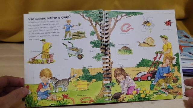 Моя первая книга (с окошками)