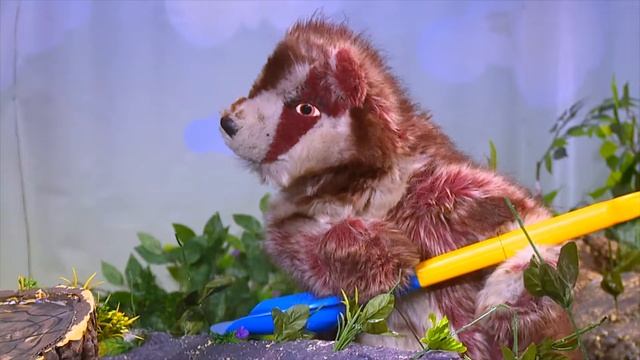 Готовим вместе | Лесные истории (6+)