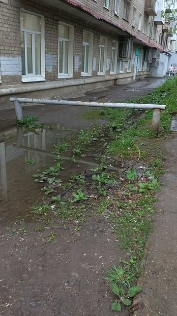 №351. Двор Г. Звезда 73 - Красноармейская 52. 11 мая 2025 г., 19:03:35. VID_20250511_190258284