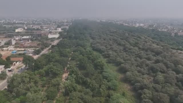 ГИРИРАДЖ МАХАРАДЖ - Е.С. КАВИЧАНДРА СВАМИ (Kavicandra Swami - Srimad Bhagavatam 10.21.18, EN/RU)