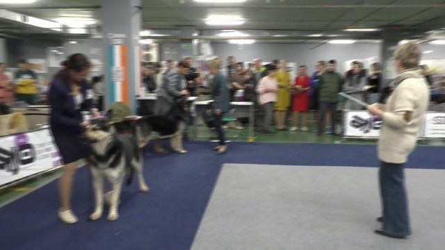 Класс чемпионов