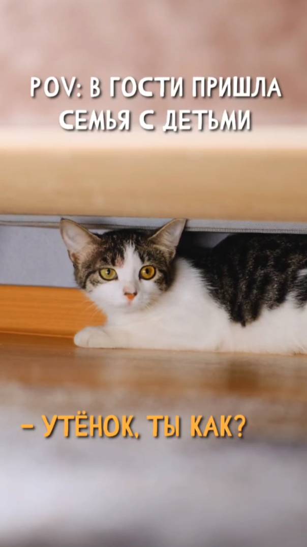 Комфорт превыше всего!☝️