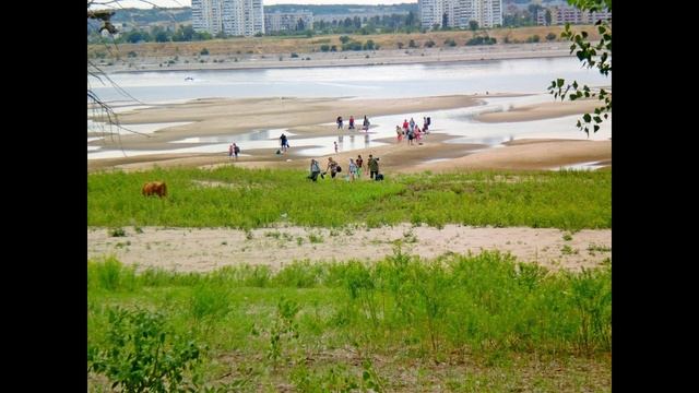 Марина Урусова. Губительное золото песка