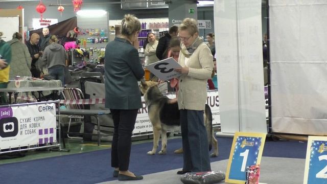 Моншер Вирсаль Фореста