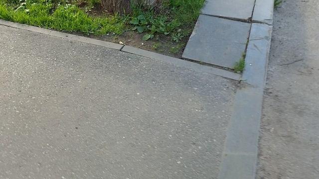 №366. Двор Г. Звезда 73 - Красноармейская 52. 23 июня 2025 г., 19:33:52. VID_20250623_193234735