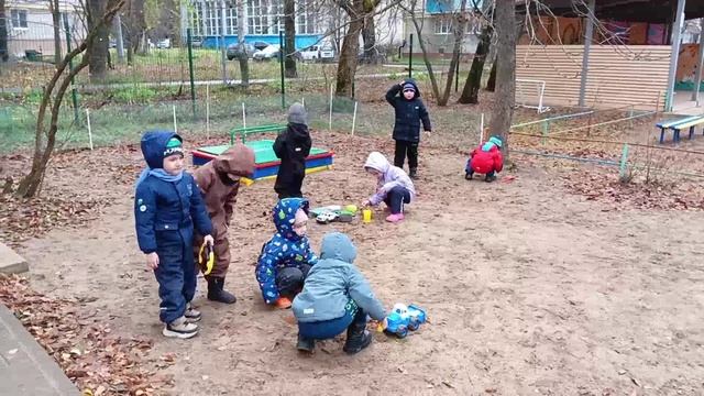 Наши будни 11.11.2025