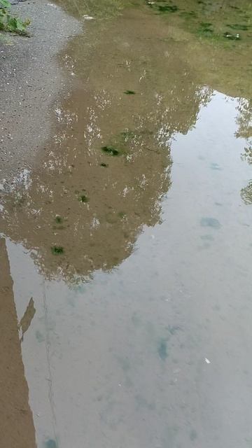 №362. Двор Г. Звезда 73 - Красноармейская 52. 22 июня 2025 г., 12:01:08. VID_20250622_120015367