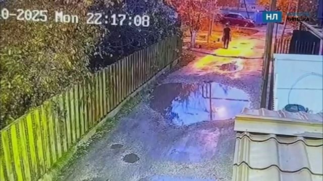 В Липецке раскрыта кража электроинструментов