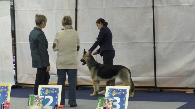 Хейлана из Новой Империи