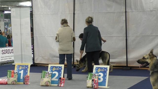 Гордость Питера Мелодия