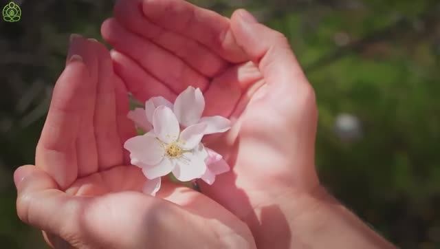 Музыка для здорового сердца и спокойного ума 🌿 Антистресс, расслабление и гармония #3