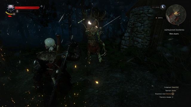 Полет лешего на орбиту