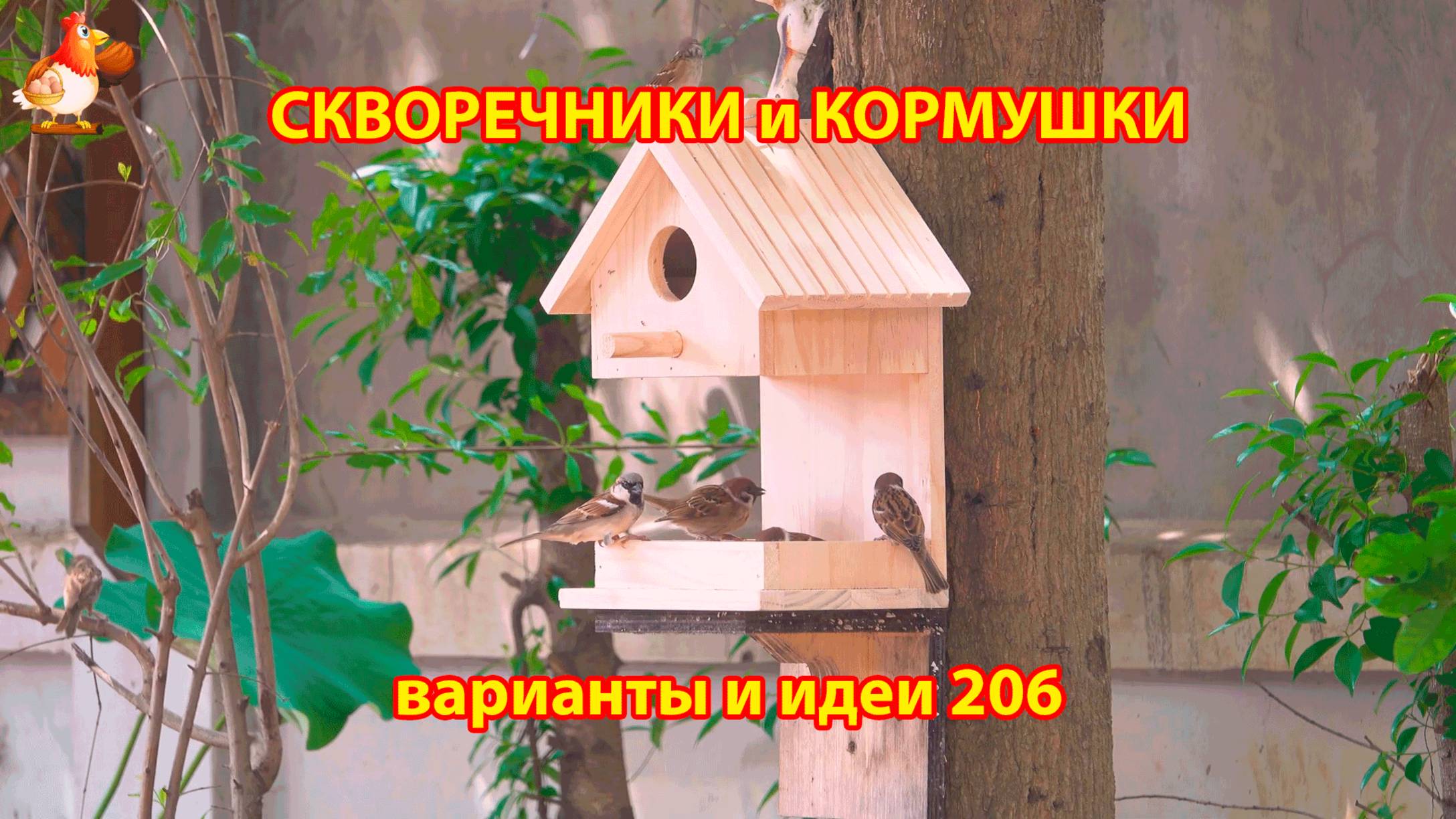 Скворечники и кормушки своими руками для птиц (206) 🪚🪛🔨 Идеи для дачи и сада пошагово ❣️