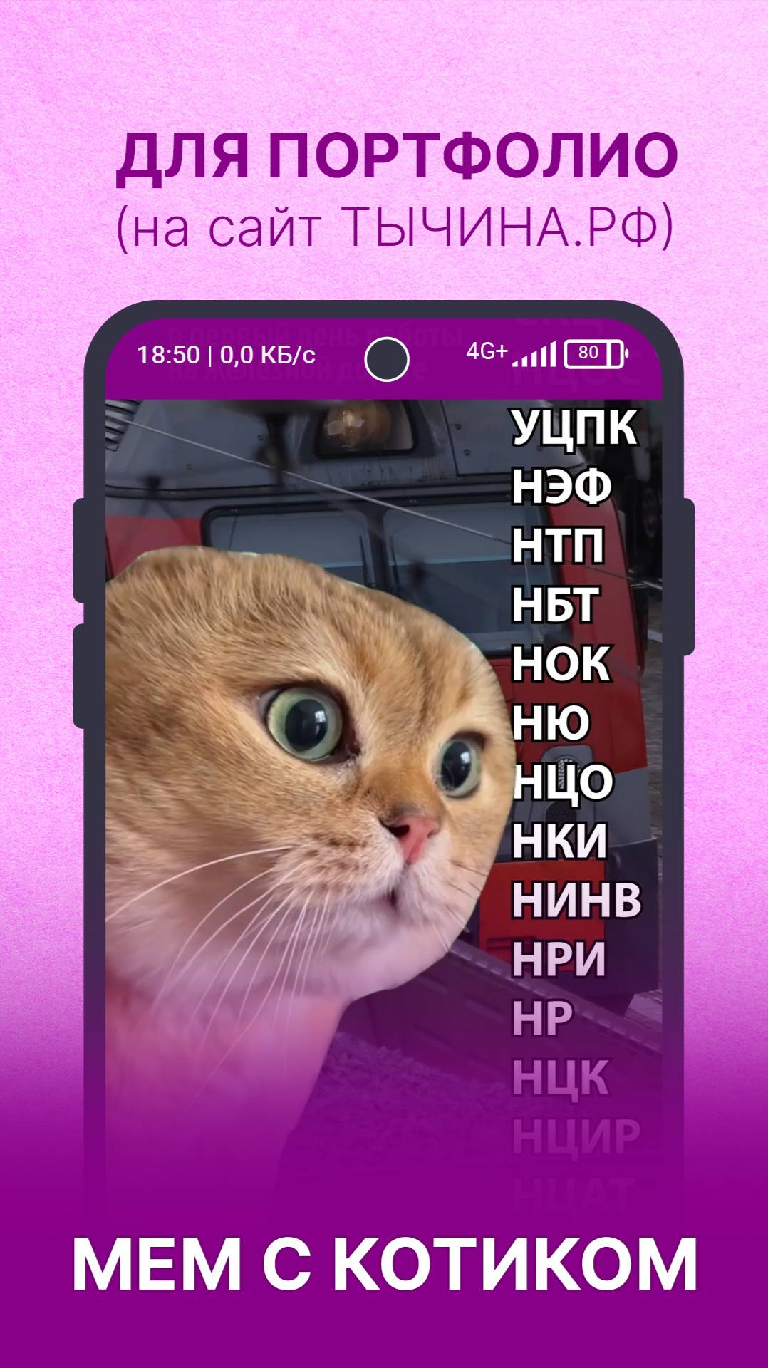 Мем с котиком