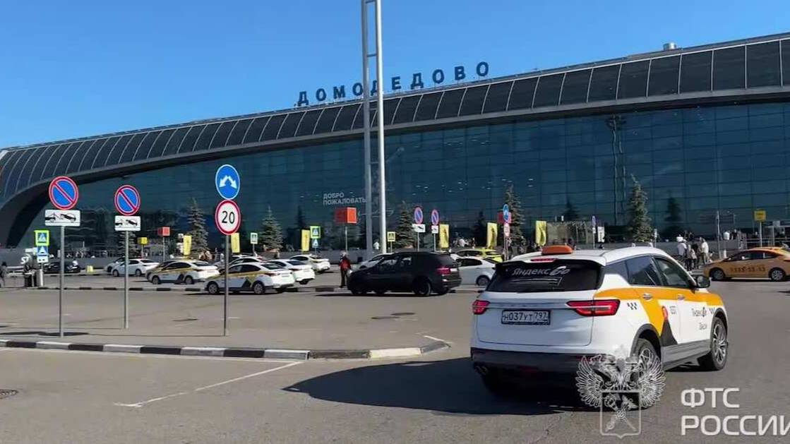 Семь тысяч хвостов куницы нашли у пассажира в аэропорту Домодедово