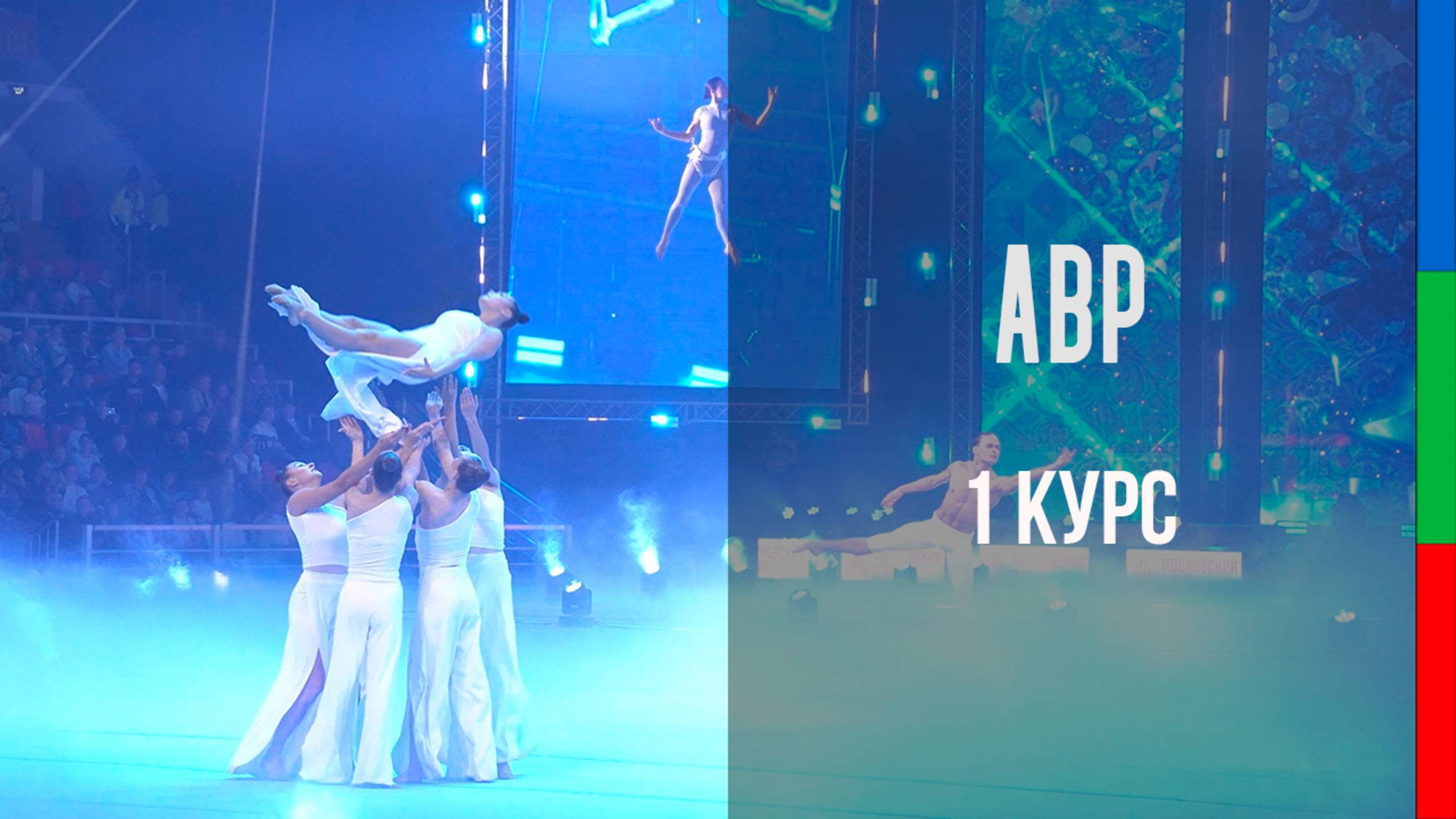 ДО12 Славутская Софья Этюд-наблюдение Шоу Алексея Немова