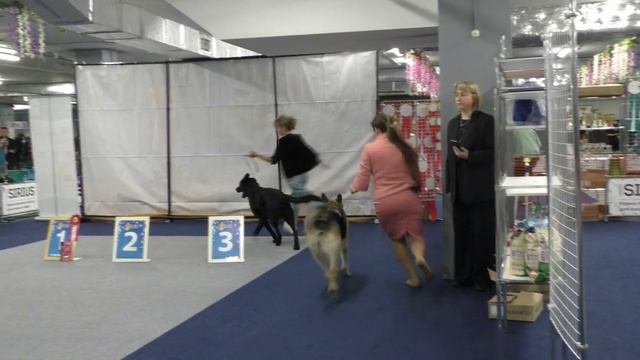 Сравнение на ЛВ