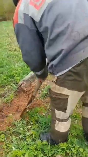 Субботник 04.05.2025: подготовка к празднованию 80-летия Победы