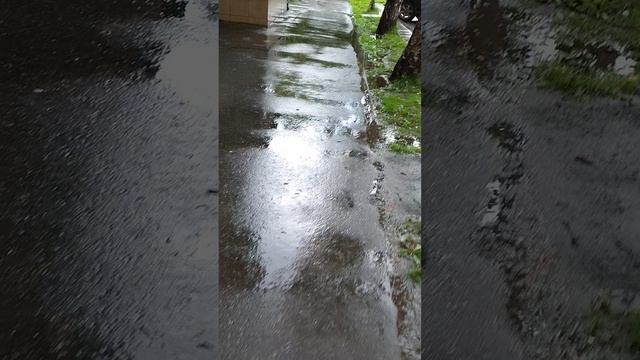 №369. Двор Г. Звезда 73 - Красноармейская 52. 3 июля 2025 г., 15:21:45. VID_20250703_151231674