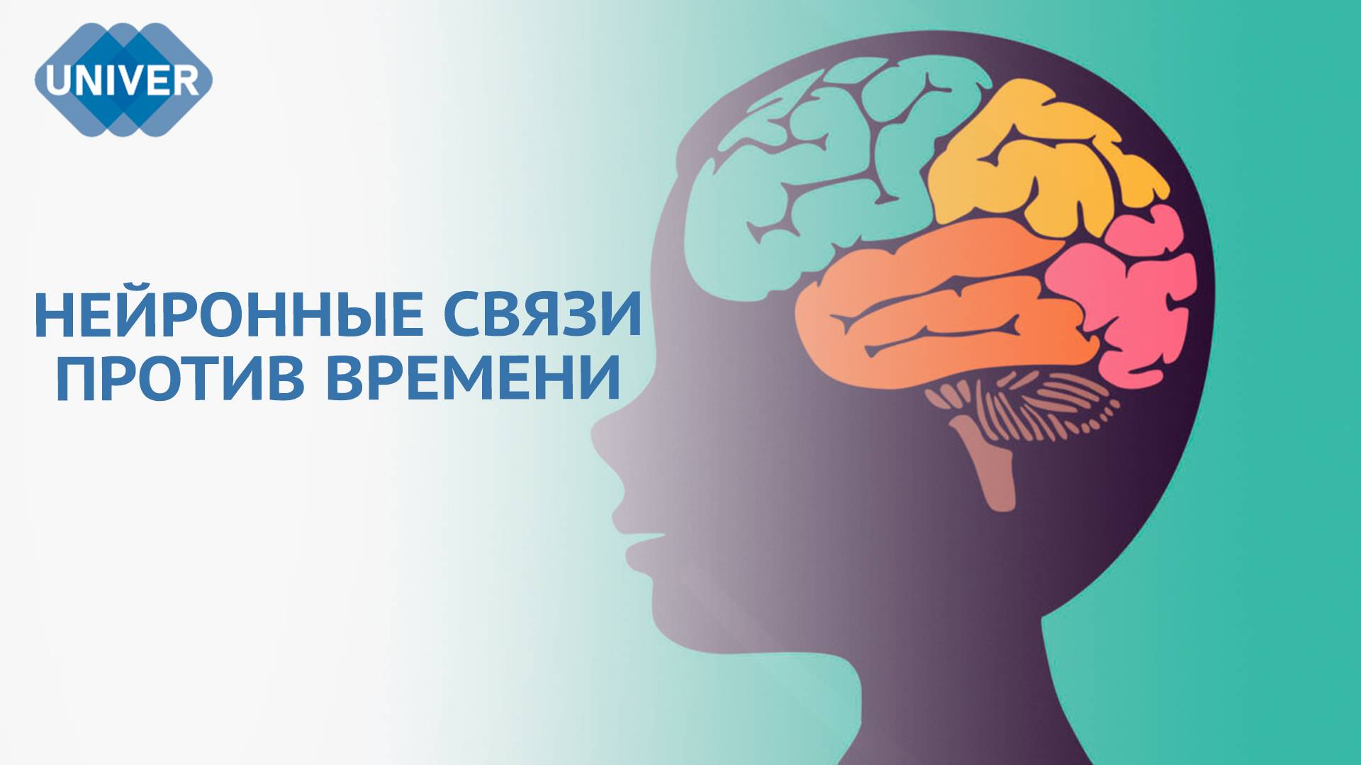 СЕКРЕТЫ ВЕЧНОЙ МОЛОДОСТИ МОЗГА: ПРОСТЫЕ ПРАВИЛА ДЛЯ ДОЛГОЙ ПАМЯТИ