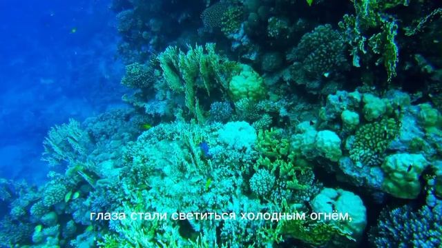 Легенда о Нагаратне! 
Приятный шёпот для вашего Сна!