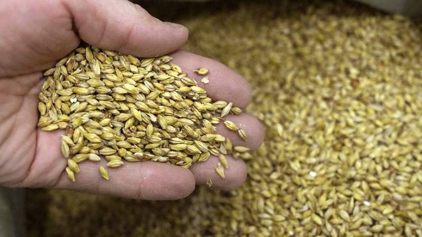 Узбекистан вошел в топ-10 стран — покупателей российских продуктов питания