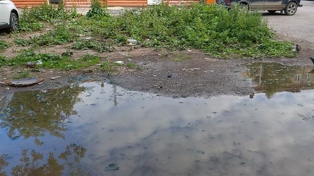 №364. Двор Г. Звезда 73 - Красноармейская 52. 23 июня 2025 г., 19:26:06. VID_20250623_192515600