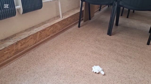 «Энергосбережение и экология начинается с меня!» – 3 место – Курдулян Яна и Бежан Марина