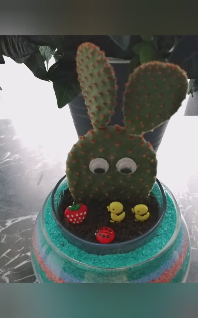 Кактус опунция, делаем его интересным