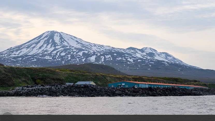 В Госдуме отреагировали на разгоревшийся в Японии скандал из-за Курил