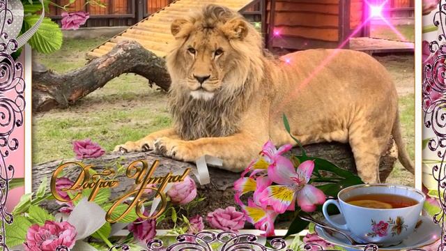 Доброе утро!