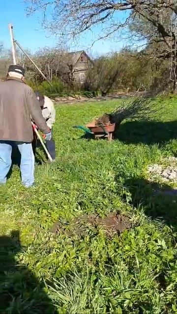 Субботник 04.05.2025: сажаем цветы к Празднику 9 мая