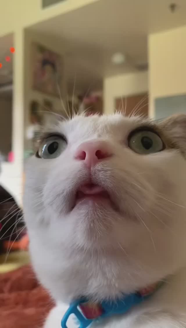 Профессиональный уборщик